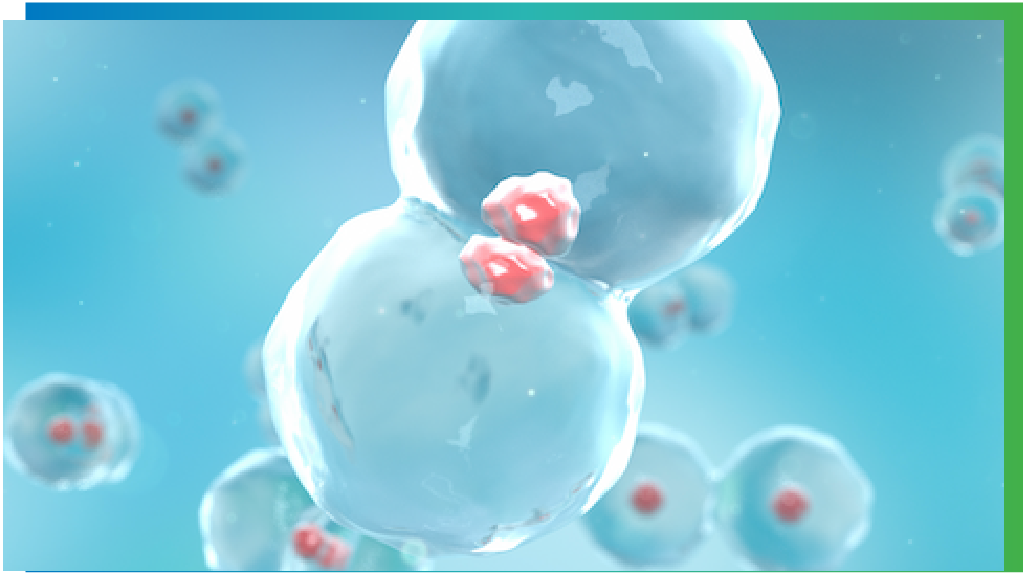 Pioneering Single Cell Sequencing: Introducing Novogene America's Parse ... Pioneering Single Cell Sequencing: Introducing Novogene America's Parse ...